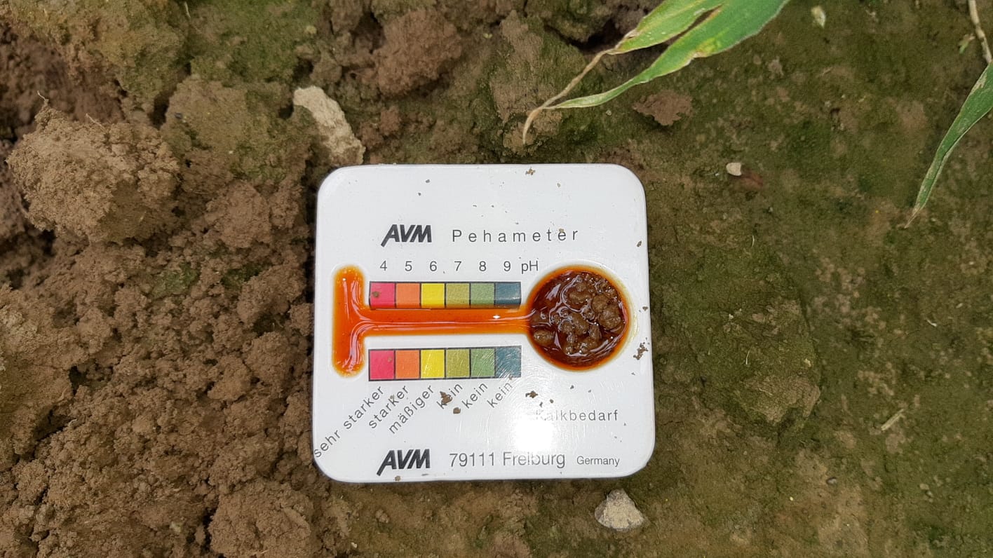 Ph vrijednost tla - Baumit Agrar